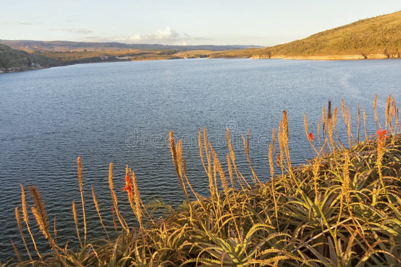 Furnas Dam in Minas Gerais, Brazil Stock Image - Image of baboza, clear ...