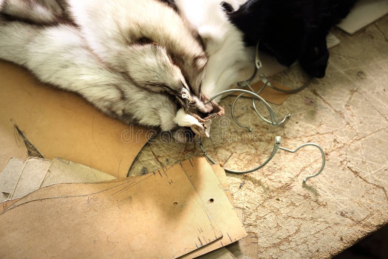 Furrier stock photo. Image of leather, sewing, vesicle - 72931876