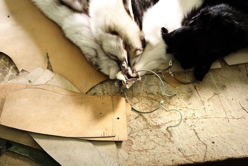 Furrier stock image. Image of furrier, manufacture, workshop - 72931893