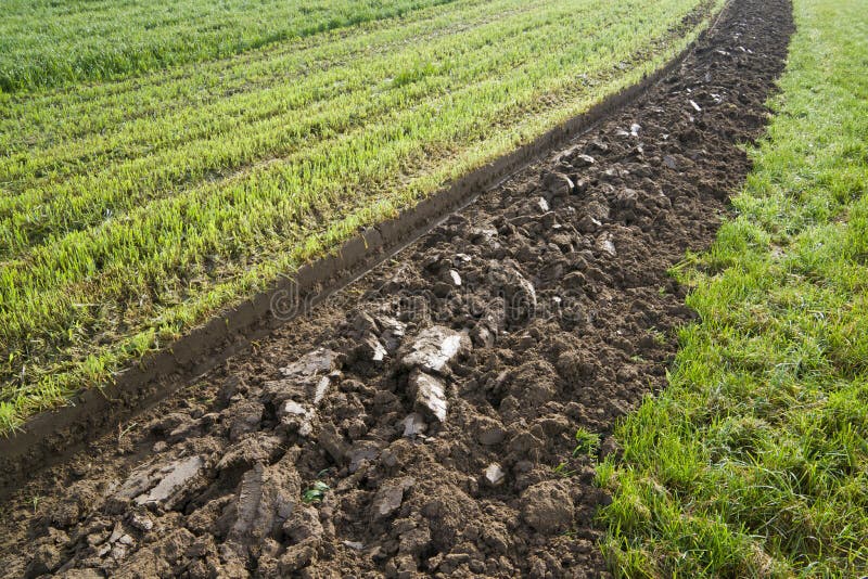 Dirt Road stock photo. Image of landscape, furrow, land - 32183870