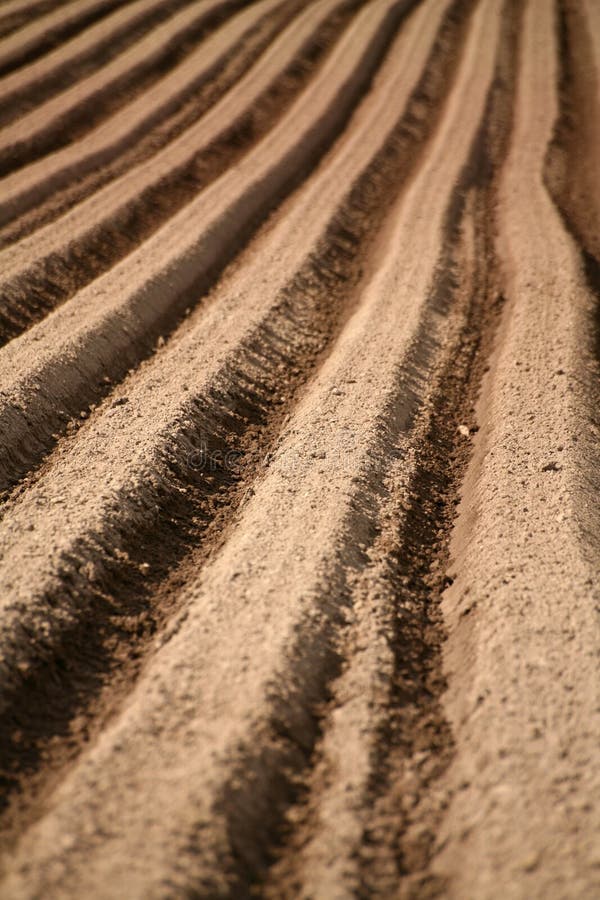 Furrows stock image. Image of horizon, field, perspective - 298979