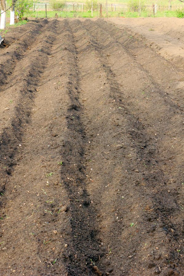 Furrows stock image. Image of land, kitchen, plowed, site - 21480933