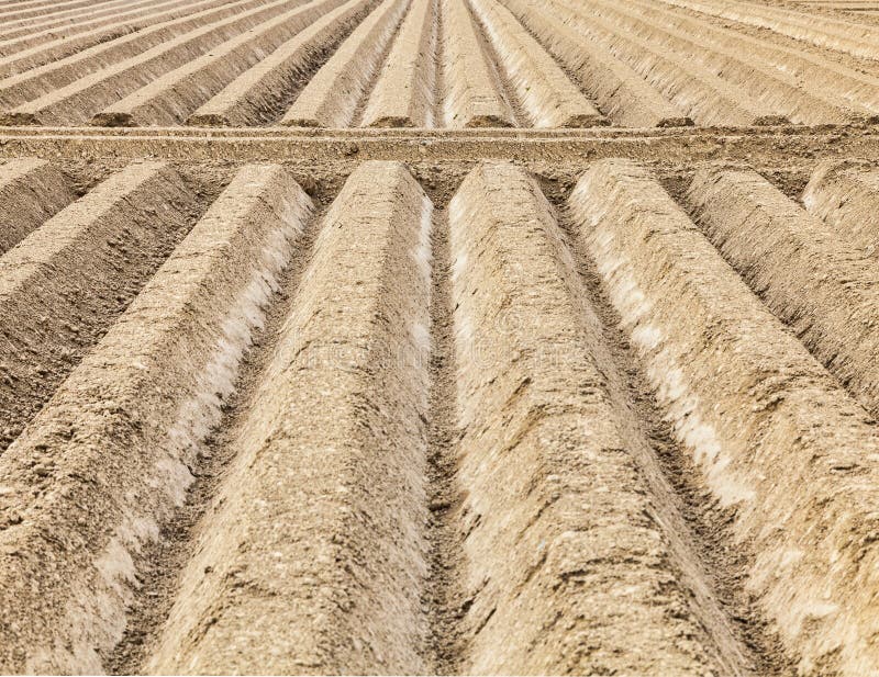 Furrows Abstract stock photo. Image of fertile, furrow - 51830378