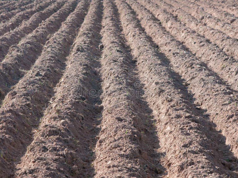 Furrows in Dry, Reddish Soil. Stock Photo - Image of land, groove: 21787180
