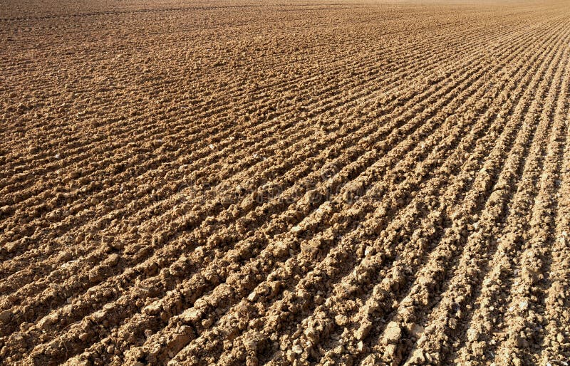 Furrows in a field stock photo. Image of plowing, land - 18802518
