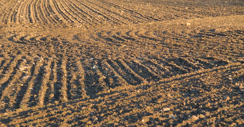 Making furrows 2 stock image. Image of garden, rows, plow - 30658463