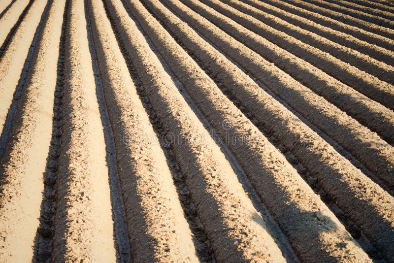 Furrows stock photo. Image of vertical, ploughed, brown - 49319696