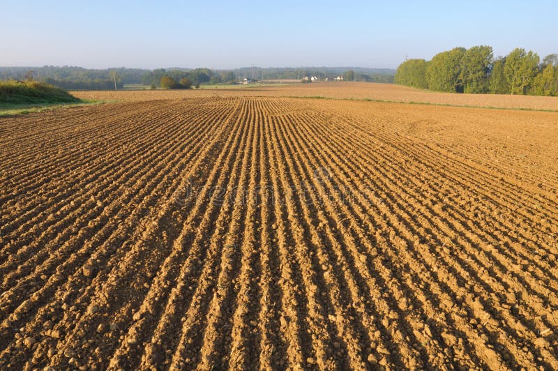 Furrows in land stock photo. Image of rows, ploughed - 48618840