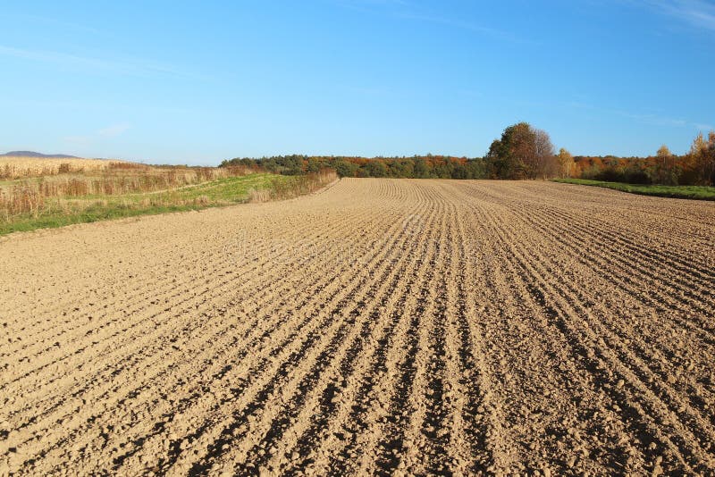 The Furrows of the Plowed Field at the Edge of the Forest. Stock Photo ...