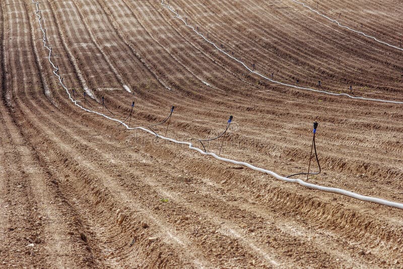 Furrows stock image. Image of countryside, cultivated - 45383317