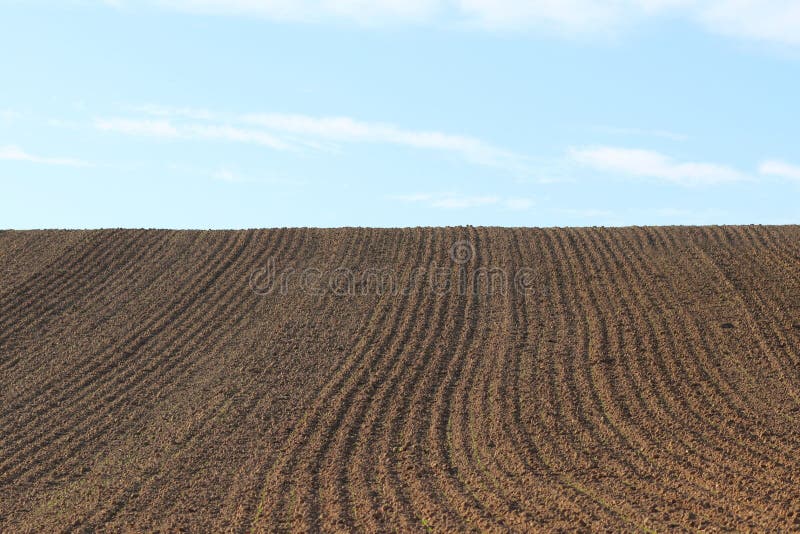Furrows Row Pattern in a Plowed Field Prepared for Planting Crops in ...