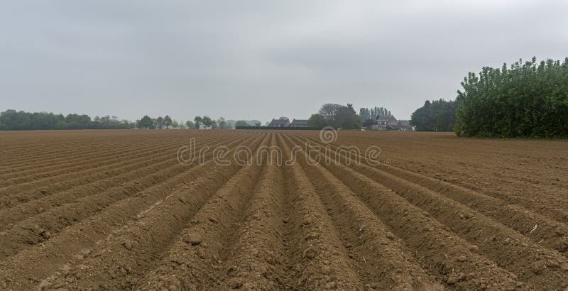 Furrows Row Pattern in a Plowed Field Prepared for Planting Crops in ...