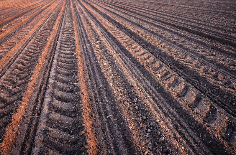 Furrows Row Pattern in a Plowed Field Prepared for Planting Crops in ...