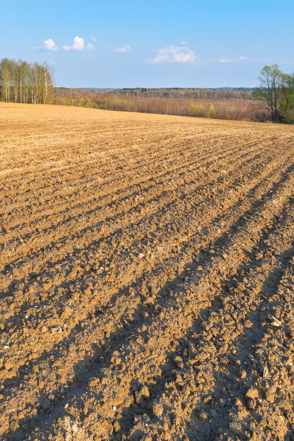 Furrows stock photo. Image of farmland, dale, harrow - 53522262