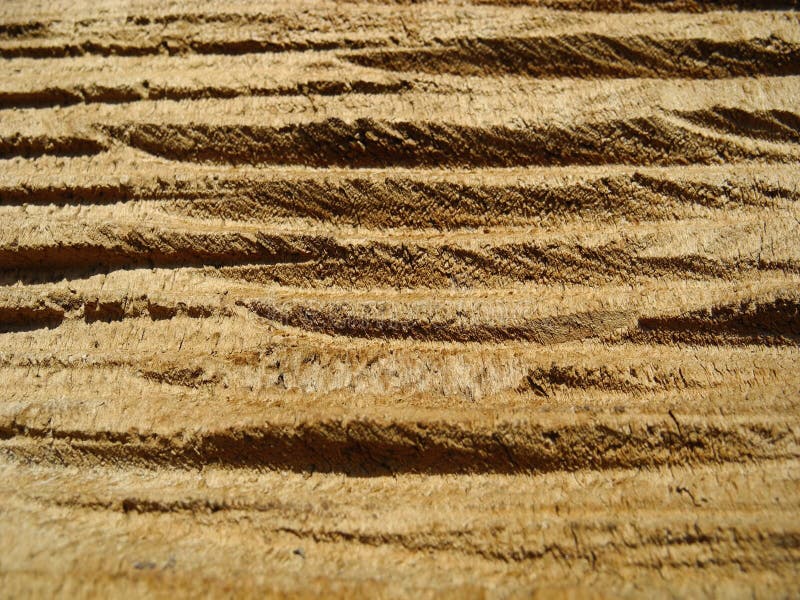 Furrows Texture in the Tree. Stock Photo - Image of wood, natural: 69056914