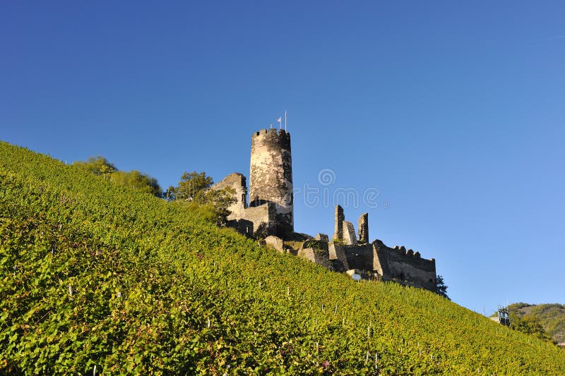 Furstenberg Ruin Castle in Germany Stock Photo - Image of field, tower ...