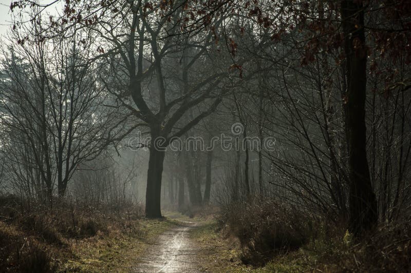 Further on up the road stock image. Image of dark, road - 67831797
