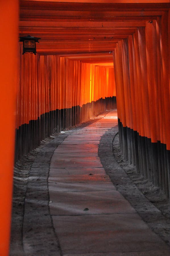 Inari Torii Gates - Kyoto - Japan Stock Image - Image of sightseeing ...