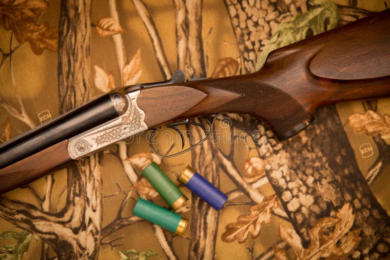Fusil de chasse classique photo stock. Image du classique - 23453100