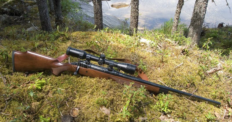 Fusil de chasse classique photo stock. Image du classique - 23453100