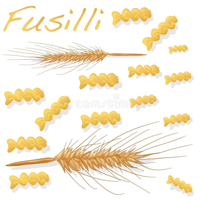 Fusilli Pasta Vector Illustration Stock Vector - Illustration of pasta ...