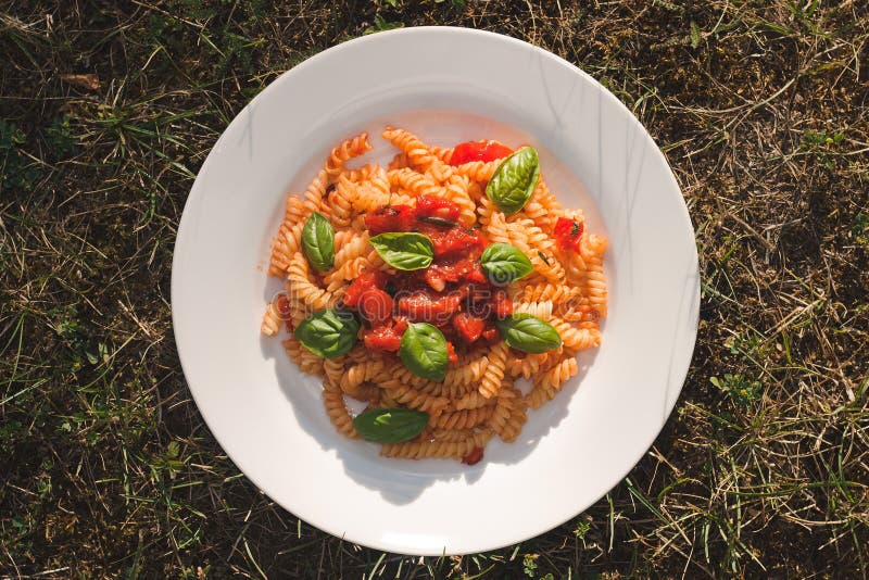 Fusilli pomodoro stock photo. Image of food, sauce, grass - 95413148