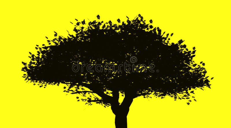 The Fusion of Current Design Sensibilities and Captivating Patterns ...