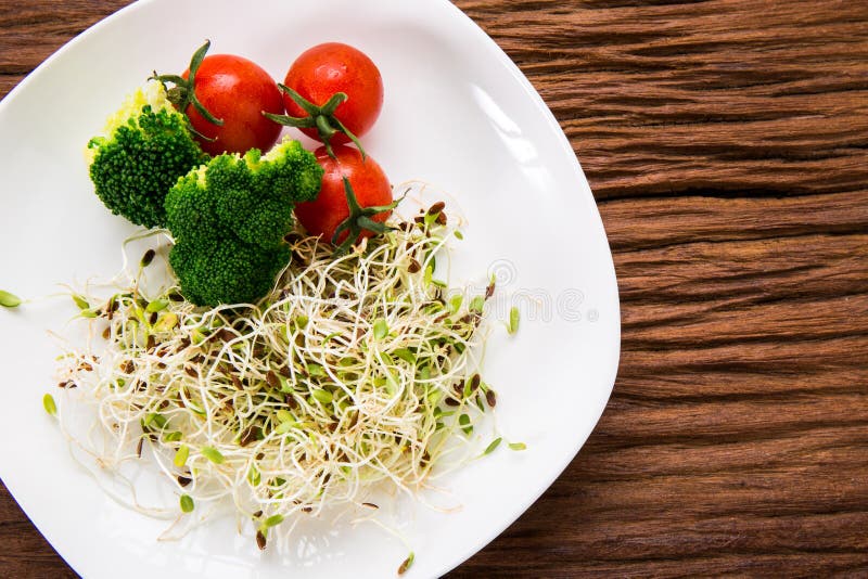 Fusion Food stock image. Image of tomato, vegetarian - 59470037