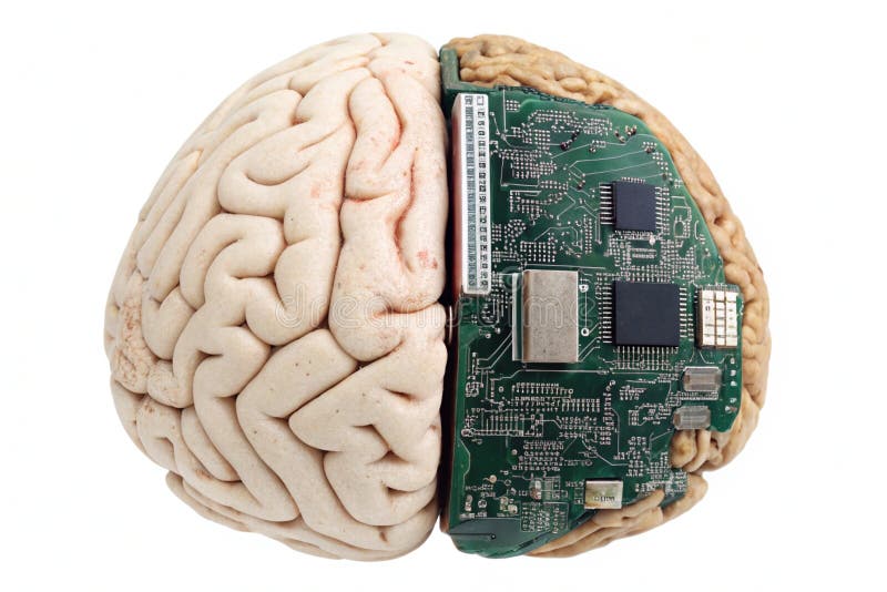 Fusion of Mind and Machine: Brain Meets Computer Chip Stock ...