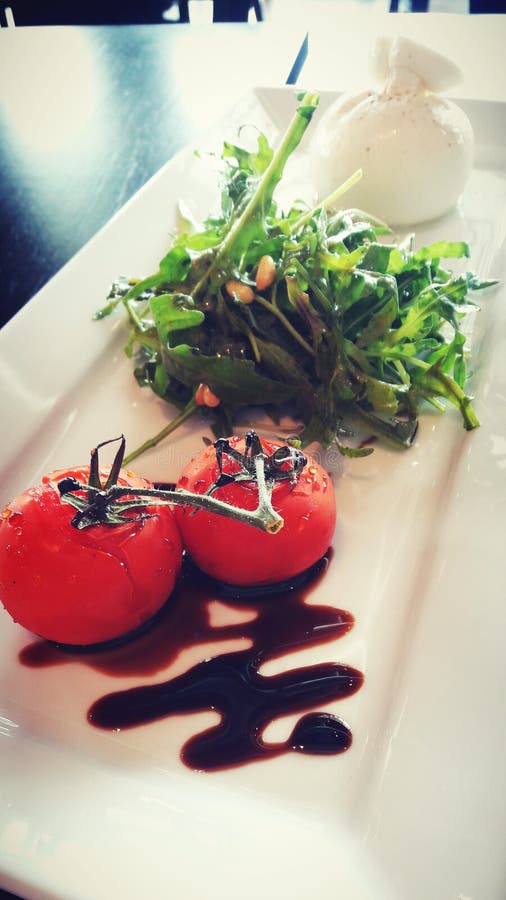 Timato Pine Stock Photos - Free & Royalty-Free Stock Photos from Dreamstime