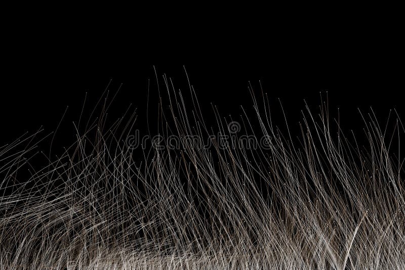 Future Network Technology Data, Artificial Intelligence and Information ...