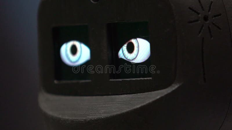Robot Model with Liquid Crystal Display, LCD Eyes, Future Technology ...