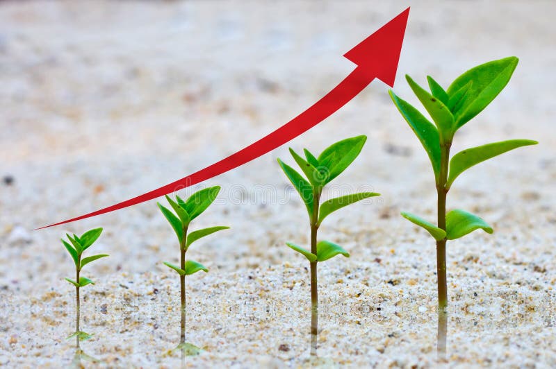 Future tree stock photo. Image of lawn, clear, land, future - 20712082