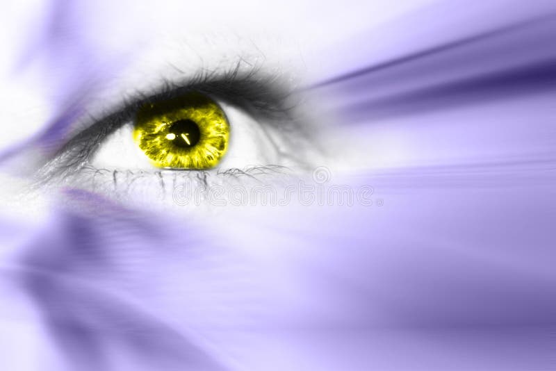 Future Vision stock image. Image of biometric, code, electronic - 19227565