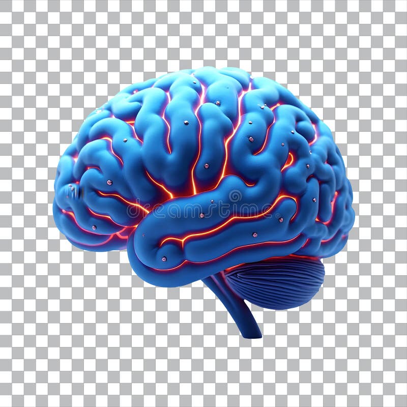 Futuristic Digital Visualization of Brain with Neural Networks and ...