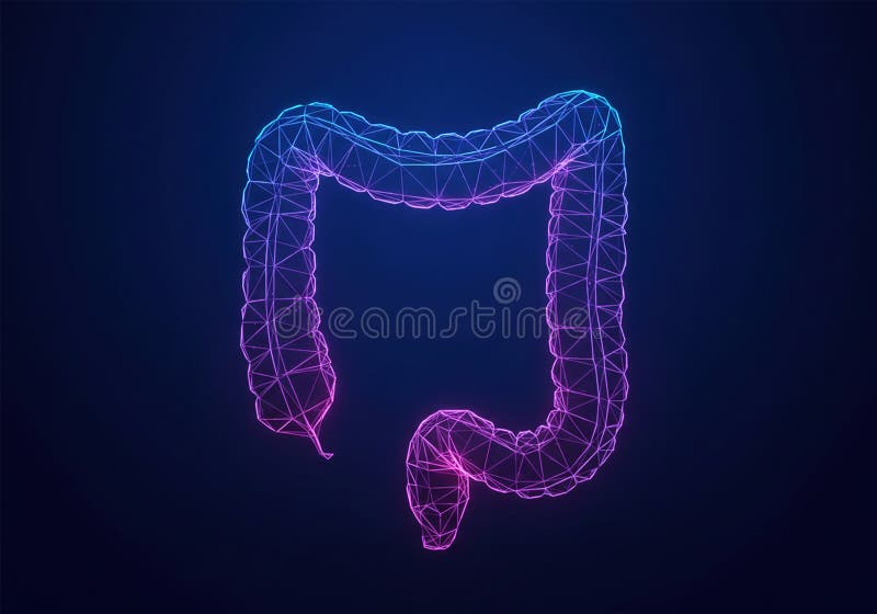 Futuristic Glowing Low Polygonal Intestine Isolated on Dark Blue ...