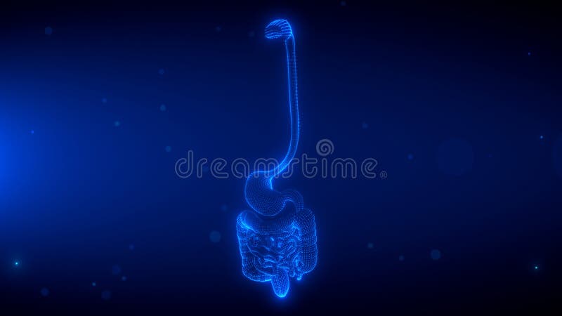 Futuristic Holographic Digital Representation of Human Digestive System ...