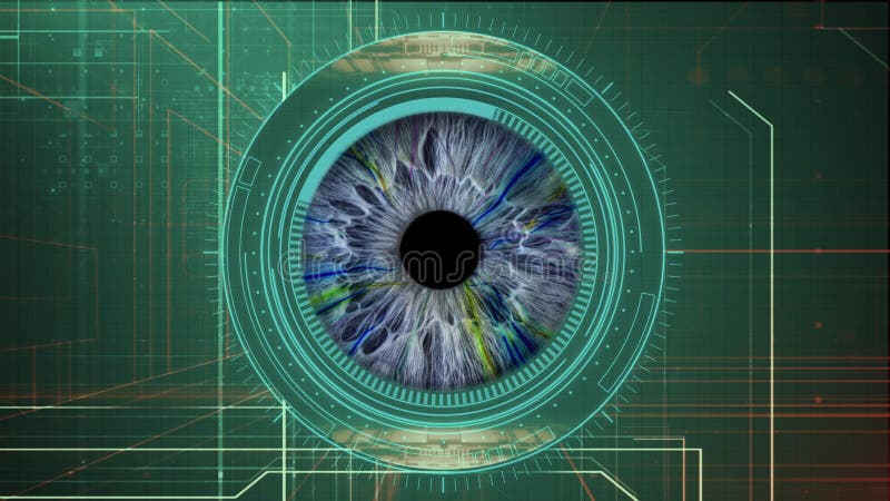 Futuristic Iris Recognition Interface Design Concept Stock Footage ...