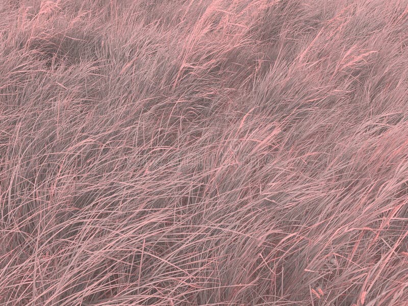 Futuristic Neon Negative Pink Color Background with Grass Leaves Stock ...