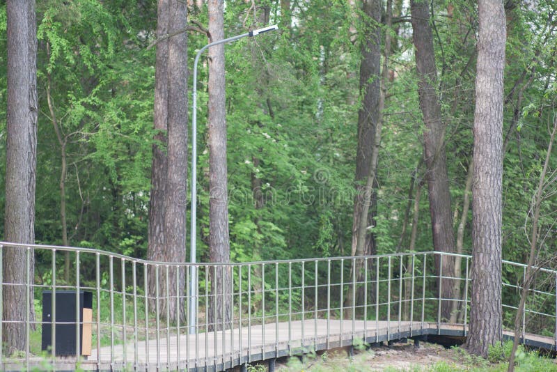 Futuristic Park Path, Park Path, Forest Path, Walking Paths with ...