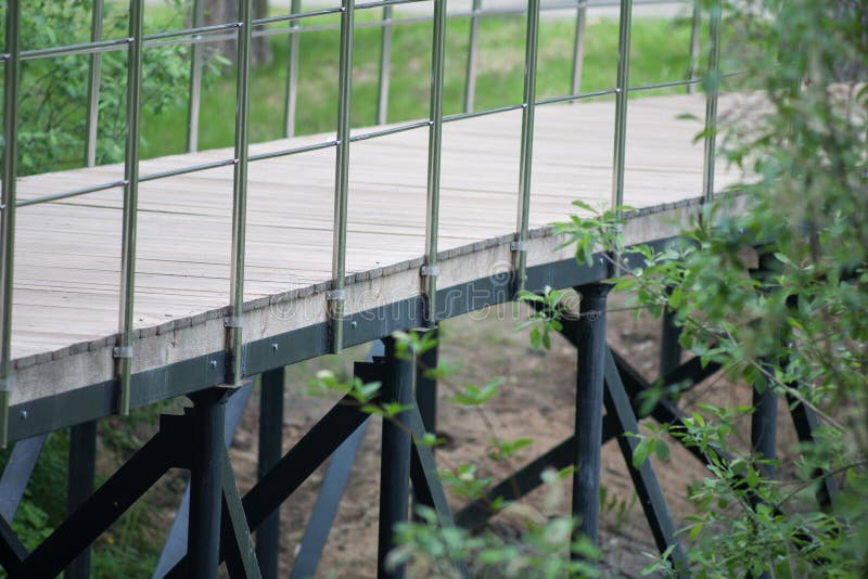 Futuristic Park Path, Park Path, Forest Path, Walking Paths with ...