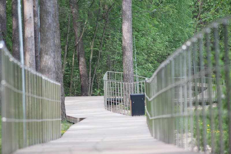 Futuristic Park Path, Park Path, Forest Path, Walking Paths with ...