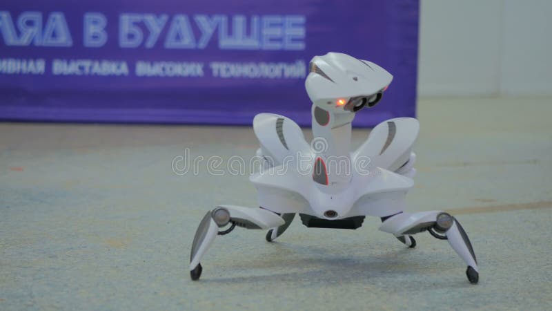 Robot Spider Demonstrates Possibilities of Modern Robotics Stock ...