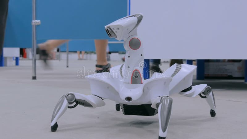 A Futuristic Robot Stands Prominently in a Vast Abandoned Cityscape ...