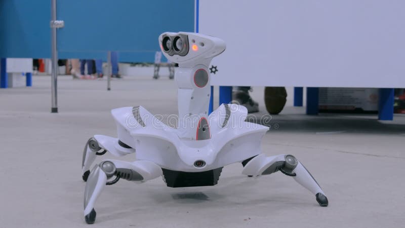 Robot Spider Demonstrates Possibilities of Modern Robotics Stock ...