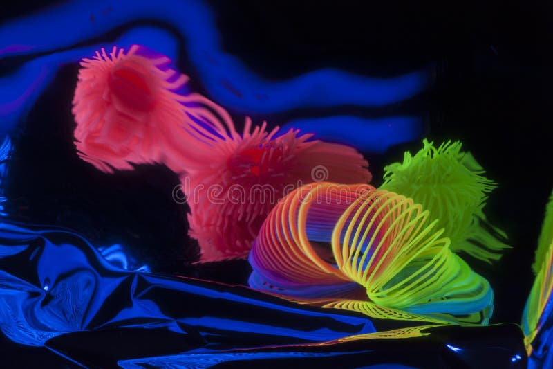 Fuzzy and Circular Objects are Lit with Fluorescent Colors Against a ...