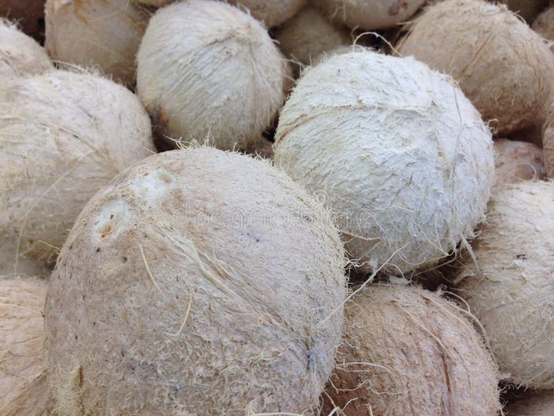 Fuzzy White Coconuts Stock Photos - Free & Royalty-Free Stock Photos ...