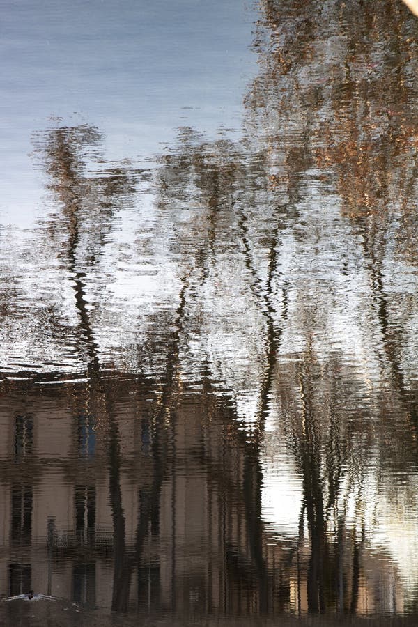 Fuzzy trees and building stock photo. Image of trees - 204675932