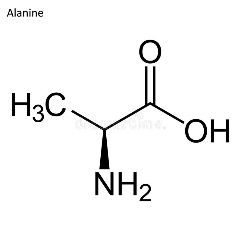 Estructura Molecular De La Alanina Del Aminoácido Stock de ilustración ... Estructura Molecular De La Alanina Del Aminoácido Stock de ilustración ...