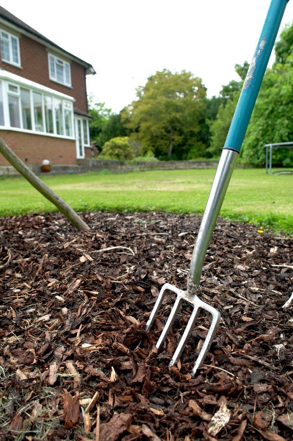 Gabel im Boden stockbild. Bild von rasen, arbeit, ausrüstung - 25333343